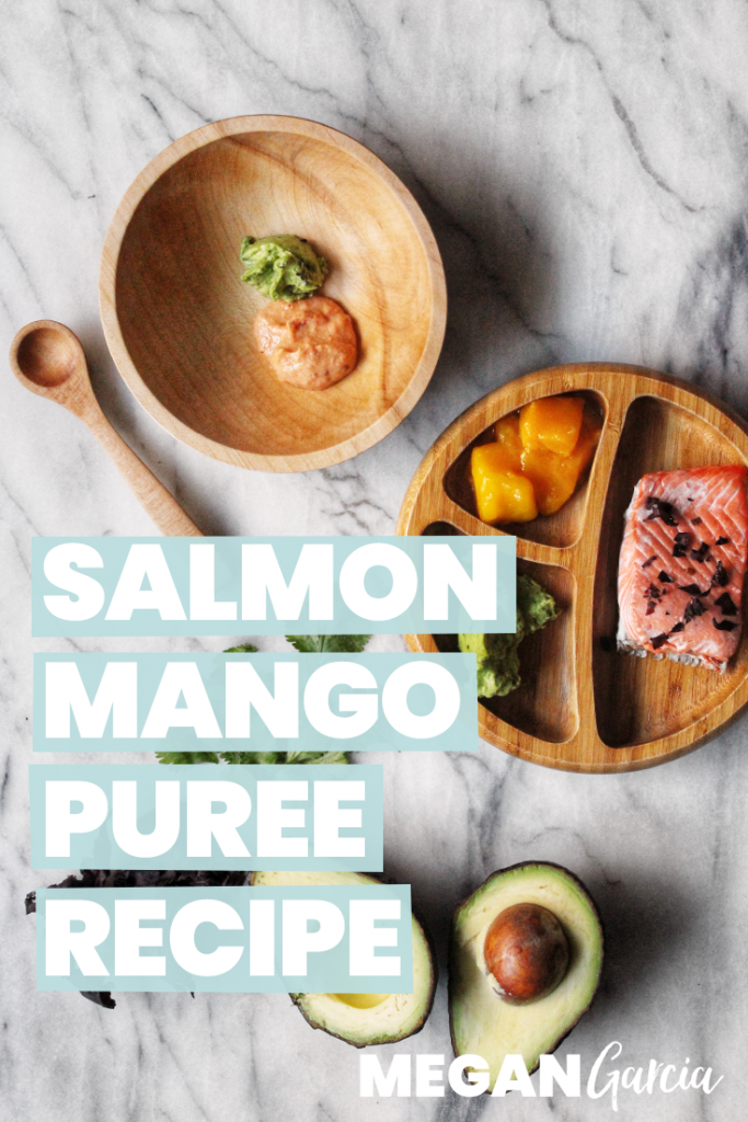 Salmon Mango Puree Recipe 6+ Months | Megan Garcia